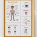 French Body Parts Poster - Le Corps - Affiche Pedagogique En Francais ...