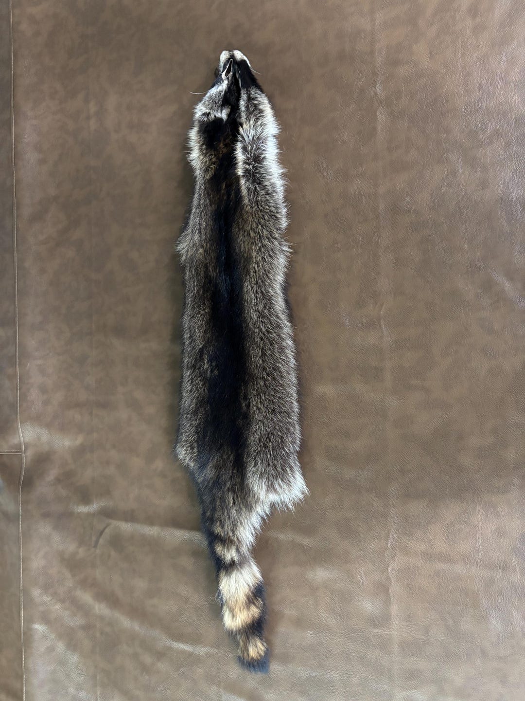 Soft-tanned Raccoon Pelt – #1 Quality – 42” – Wall Hanger / Craft Pelt ...