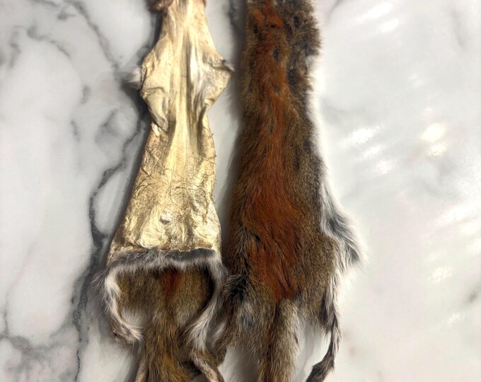 Tanned Canadian Squirrel Hide – 14” – Ethically Sourced, Soft ...
