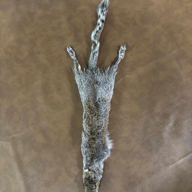 Squirrel Feet - Etsy
