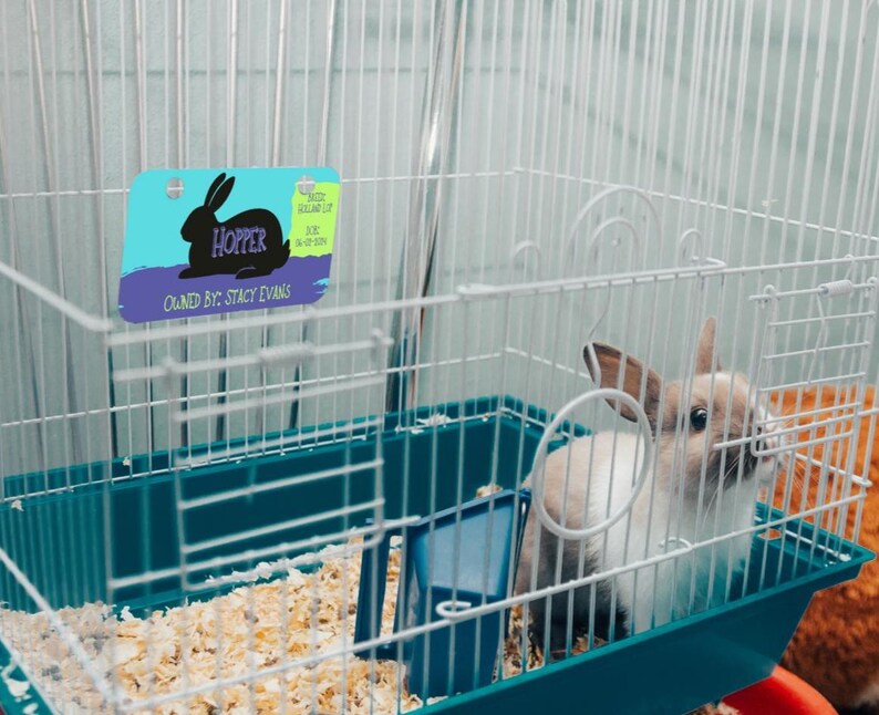 Personalized Rabbit Cage Name Tag: Custom Guinea Pig/hamster Sign - Etsy