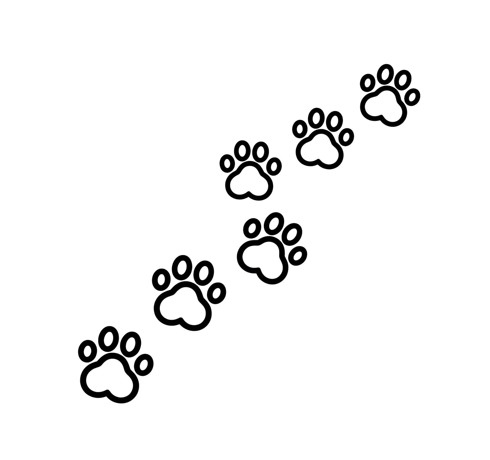 Paw Prints Outline SVG PNG Line Art Vector Black and White for Cricut ...