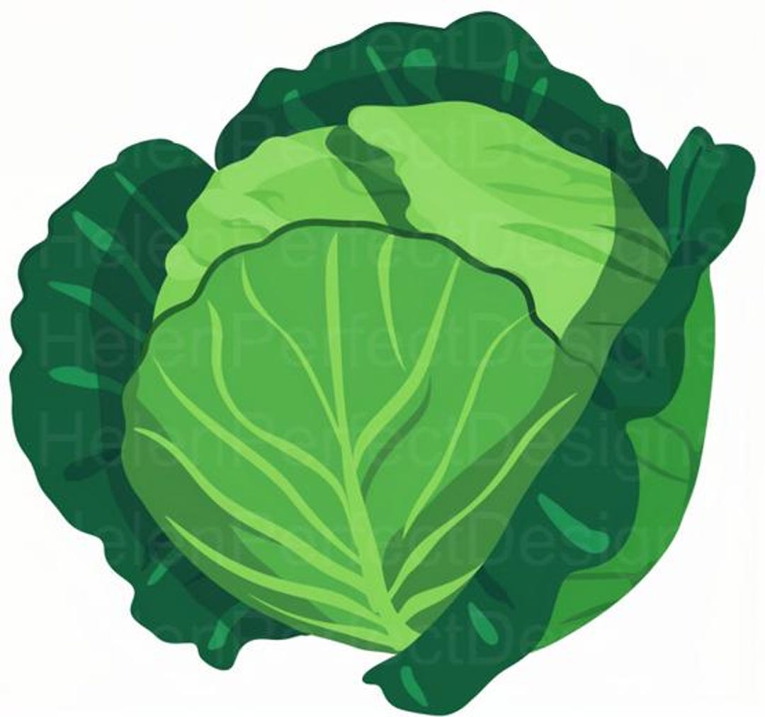 Cabbage SVG Clipart, Leafy Vegetable SVG, Cabbage SVG File for Cricut ...