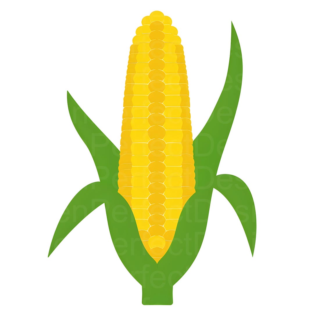 Corn SVG Clipart, Vegetable SVG Design, Corn on the Cob SVG File for ...