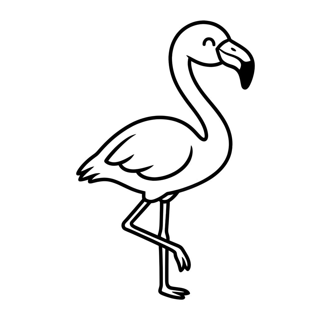 Flamingo Outline SVG PNG Line Art Vector Black and White for Cricut - Etsy