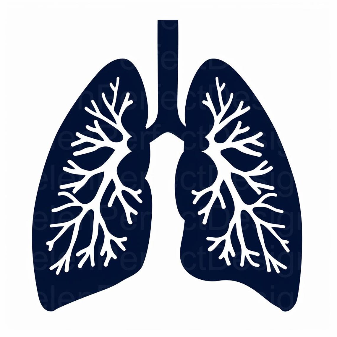 Lungs SVG Clipart, Human Organ SVG, Lungs SVG File for Cricut and ...