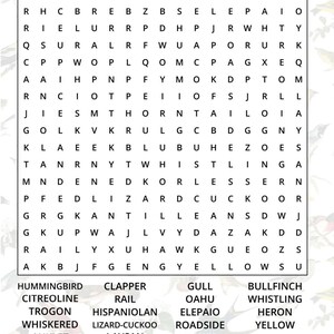 North American Birds Word Search Large Print_puzzles 141-160 - Etsy
