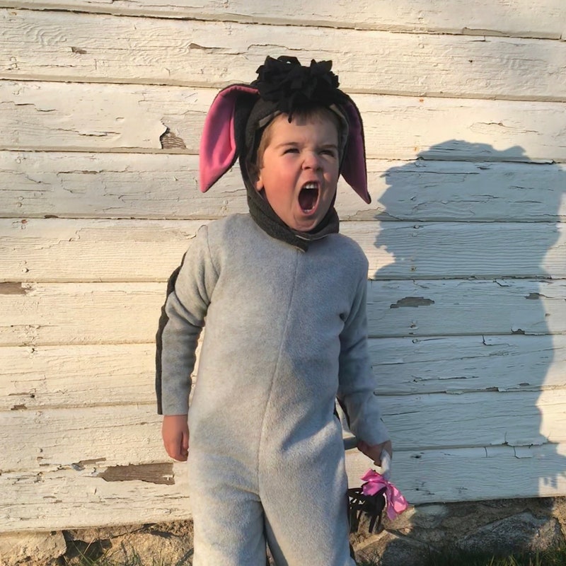 Donkey Costume - Etsy