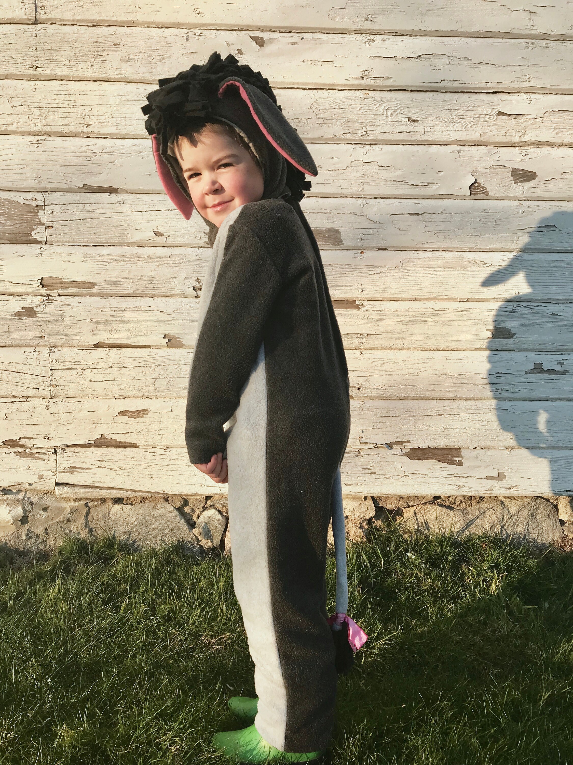 Kids Halloween Costume Eeyore Winnie the Pooh for Boys or | Etsy