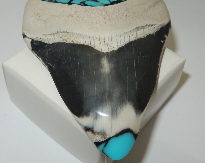 Fossil Megalodon Shark Tooth - Large Bone Valley Meg Inlayed With ...