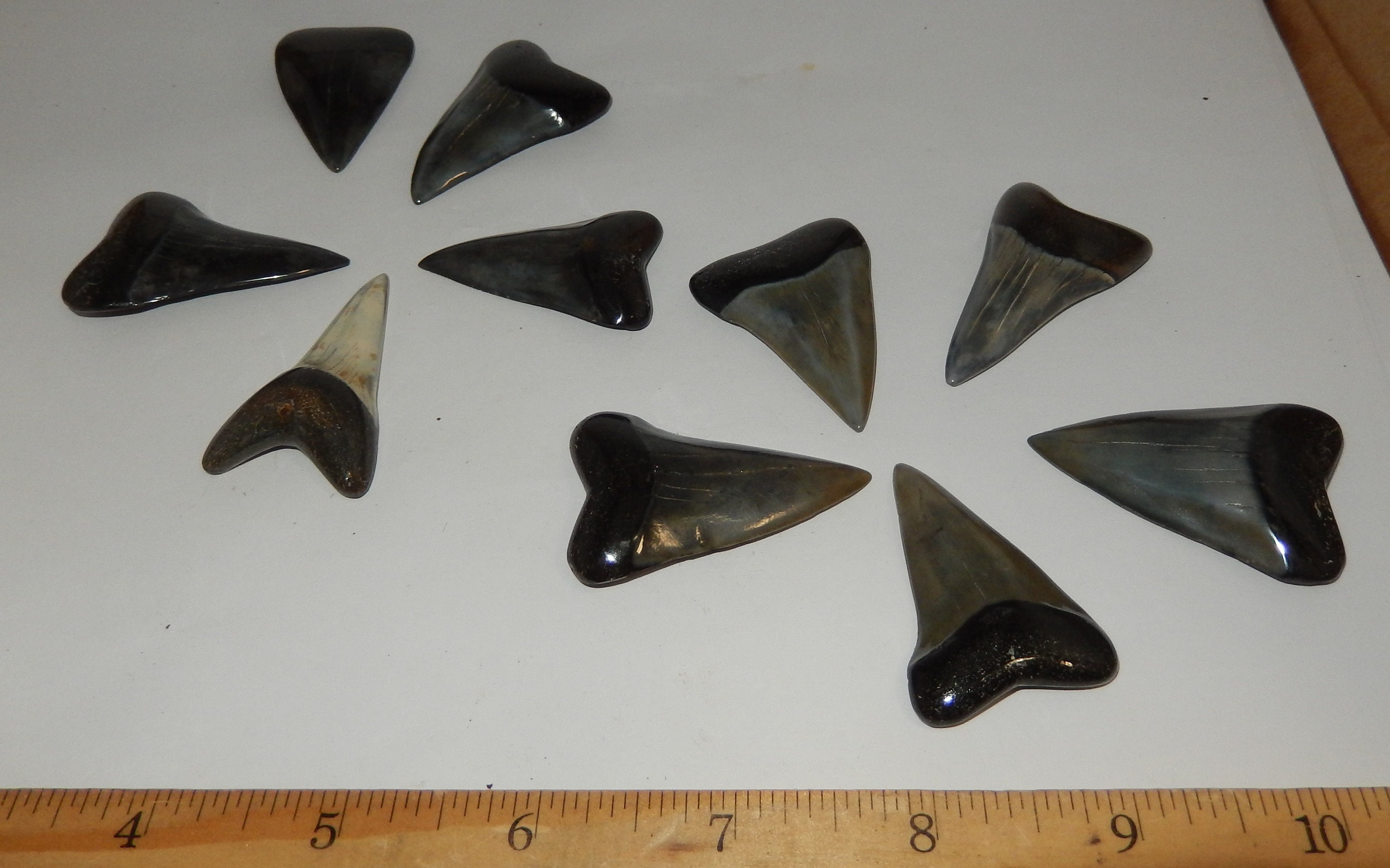 Mako Fossilized Shark Tooth Polished | Etsy