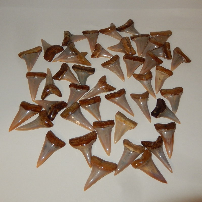 Fake Tooth Jewelry - Etsy