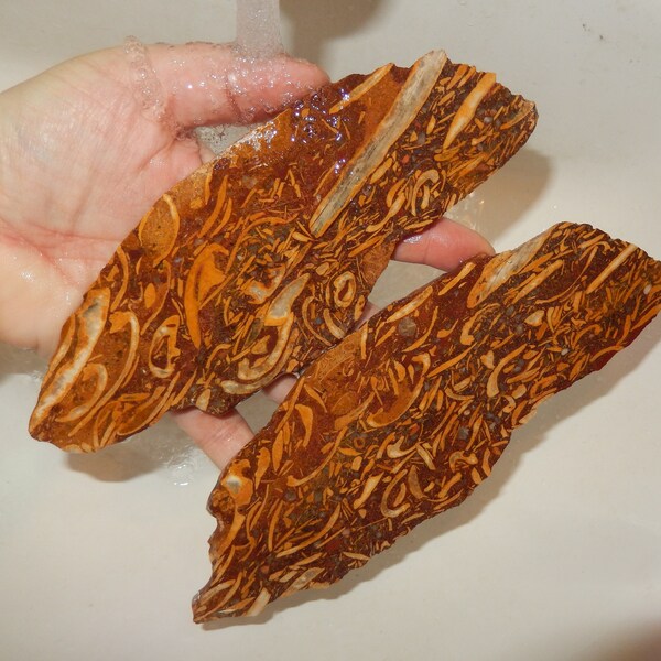 Indian Script Stone - Etsy