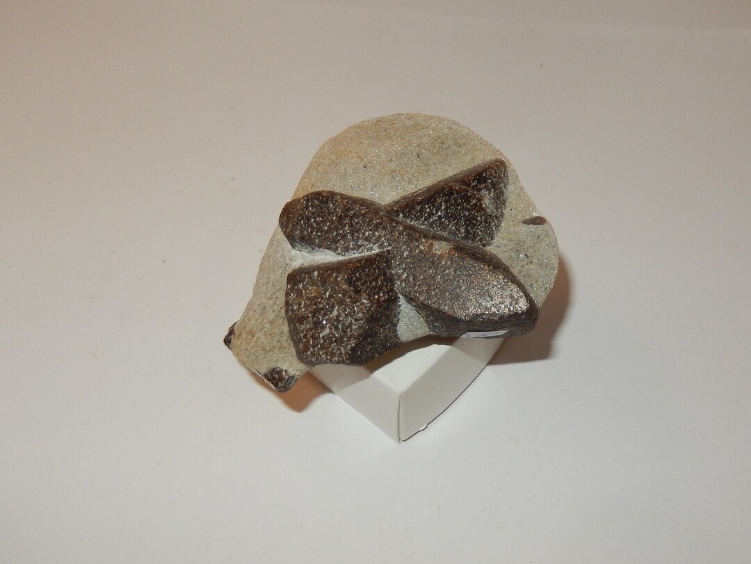 Staurolite (fairy Cross Stone) - Extra Large - Etsy