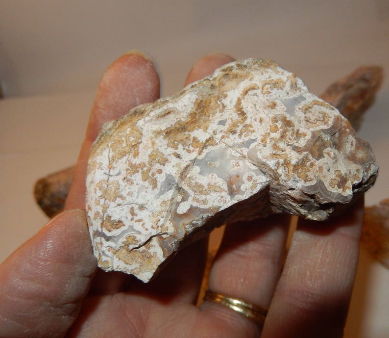 Butterfly Jasper a.k.a. Calico Jasper / with agate raw | Etsy