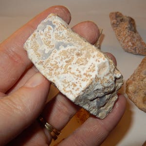 Butterfly Jasper a.k.a. Calico Jasper / with agate raw | Etsy