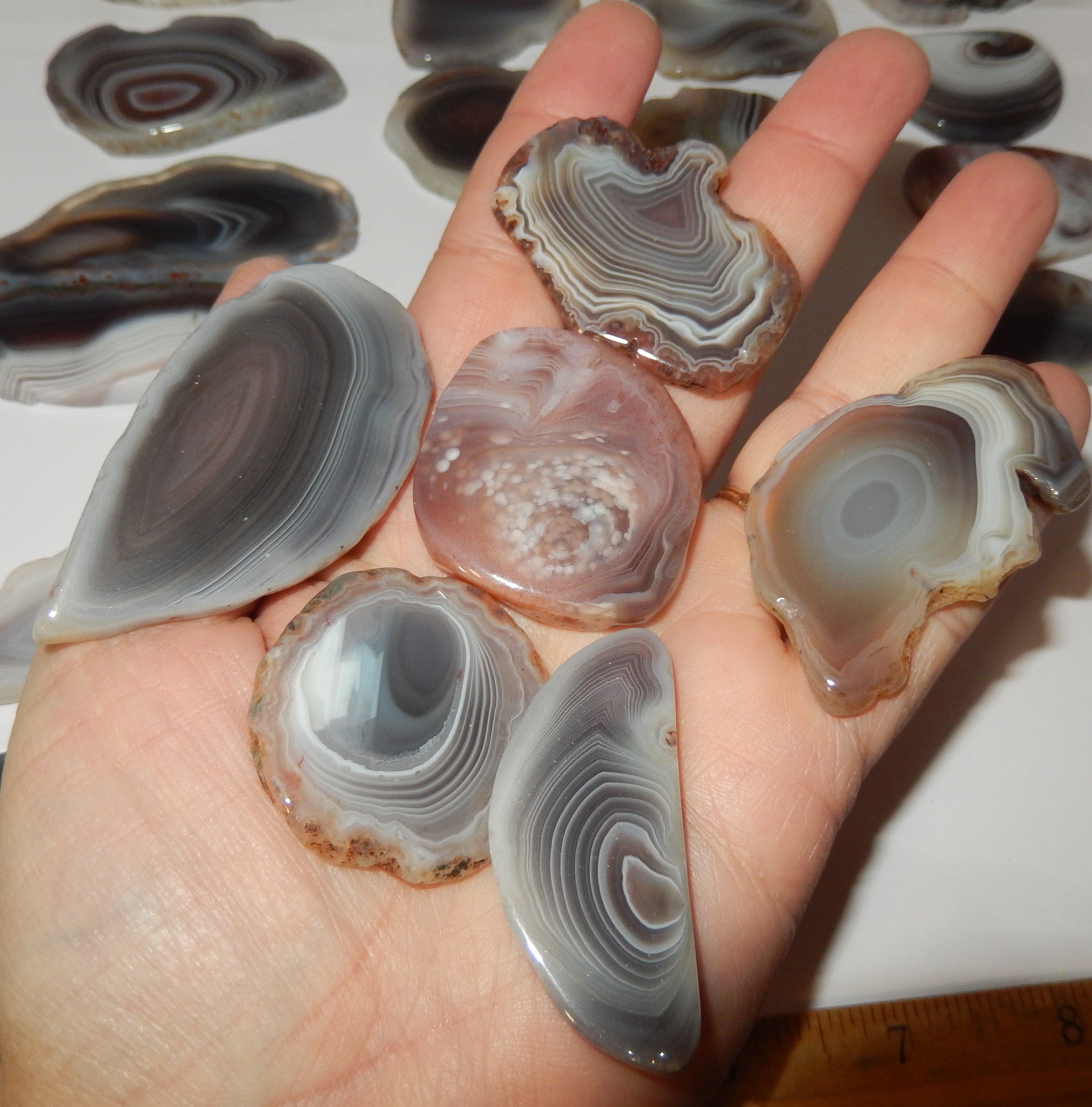 Botswana Agate flat polished slice | Etsy