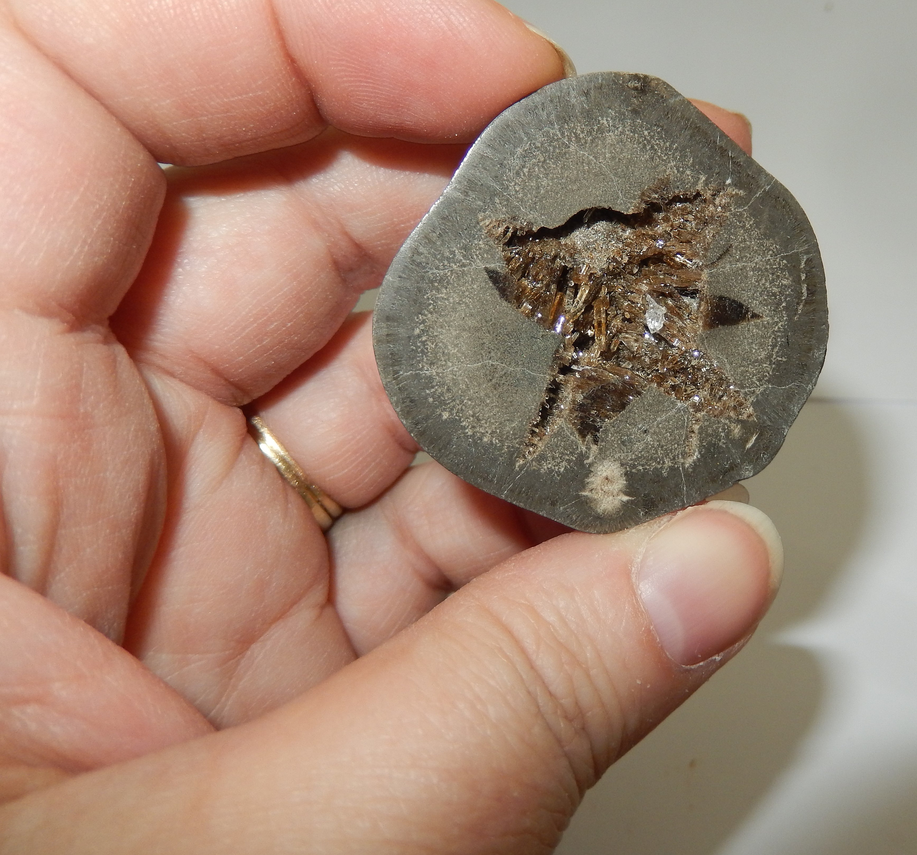 Septarian Barite Nodule Half- France - Etsy