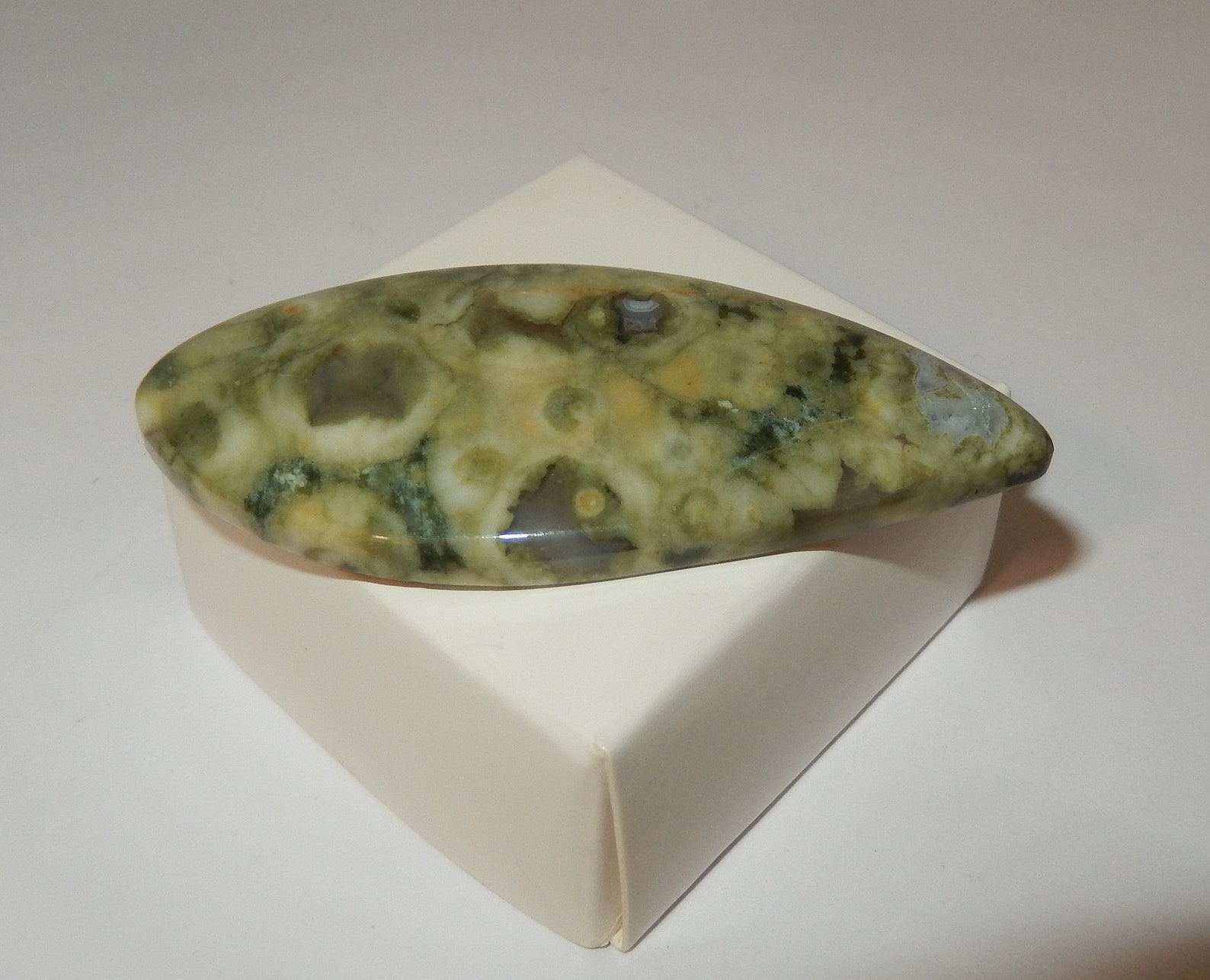 Rainforest Jasper Cabochon - Etsy