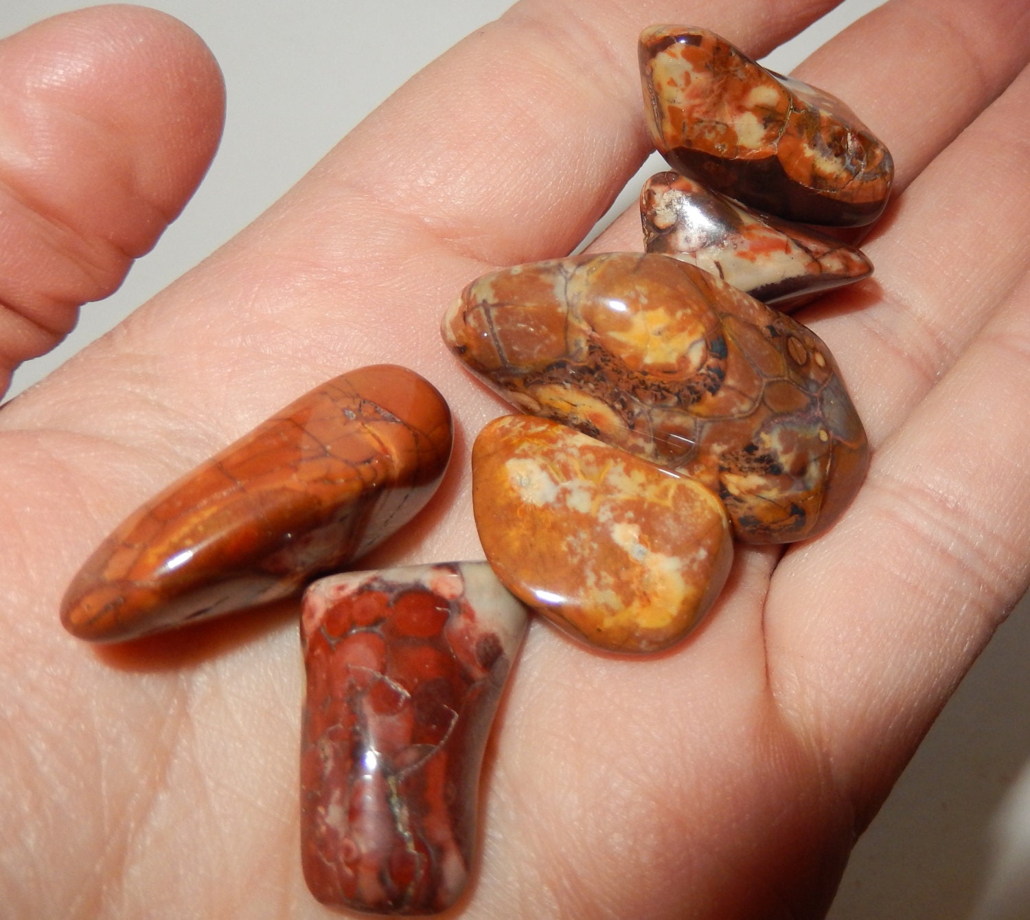 Birds Eye Rhyolite - Etsy