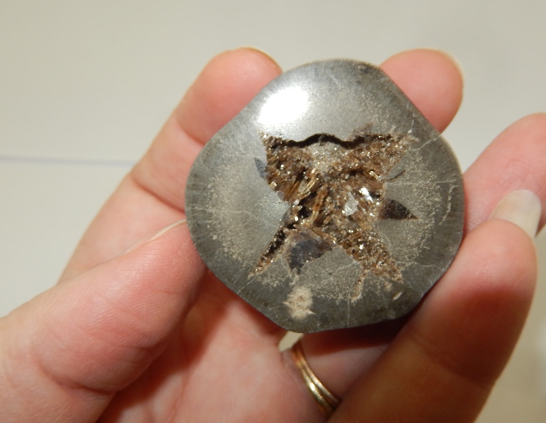 Septarian Barite Nodule Half- France - Etsy