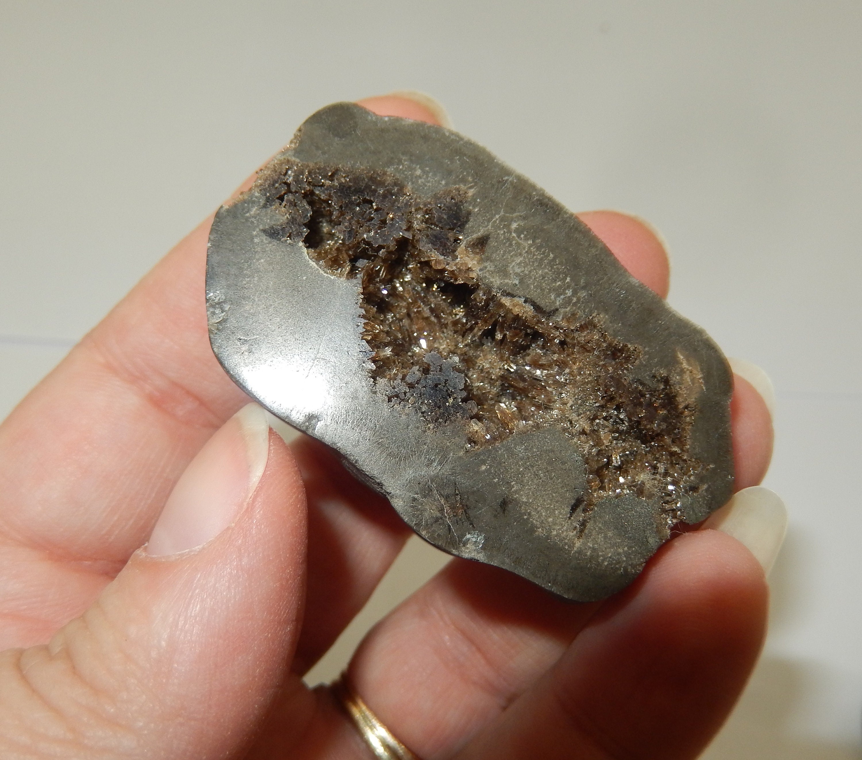 Septarian Barite Nodule Half- France - Etsy