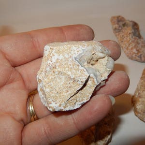 Butterfly Jasper a.k.a. Calico Jasper / with agate raw | Etsy