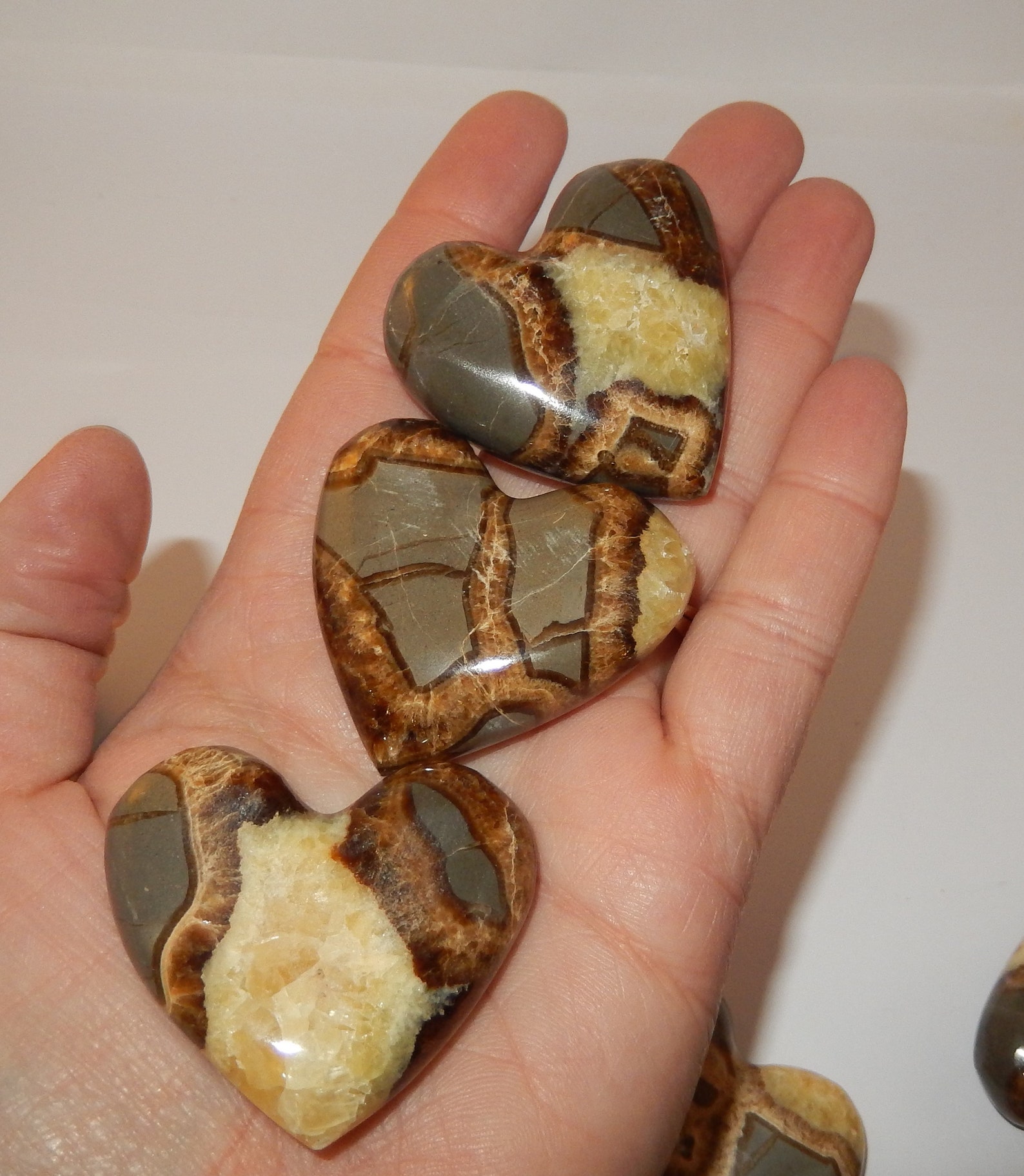 Septarian Nodule Heart | Etsy