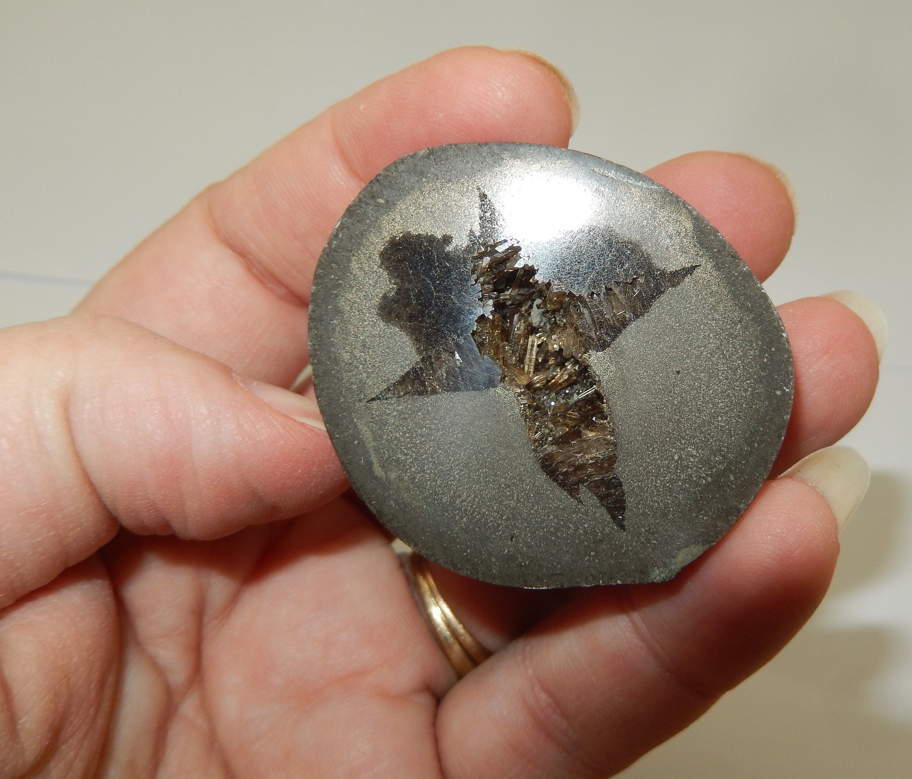 Septarian Barite Nodule Half France - Etsy