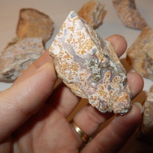 Butterfly Jasper a.k.a. Calico Jasper / with agate raw | Etsy