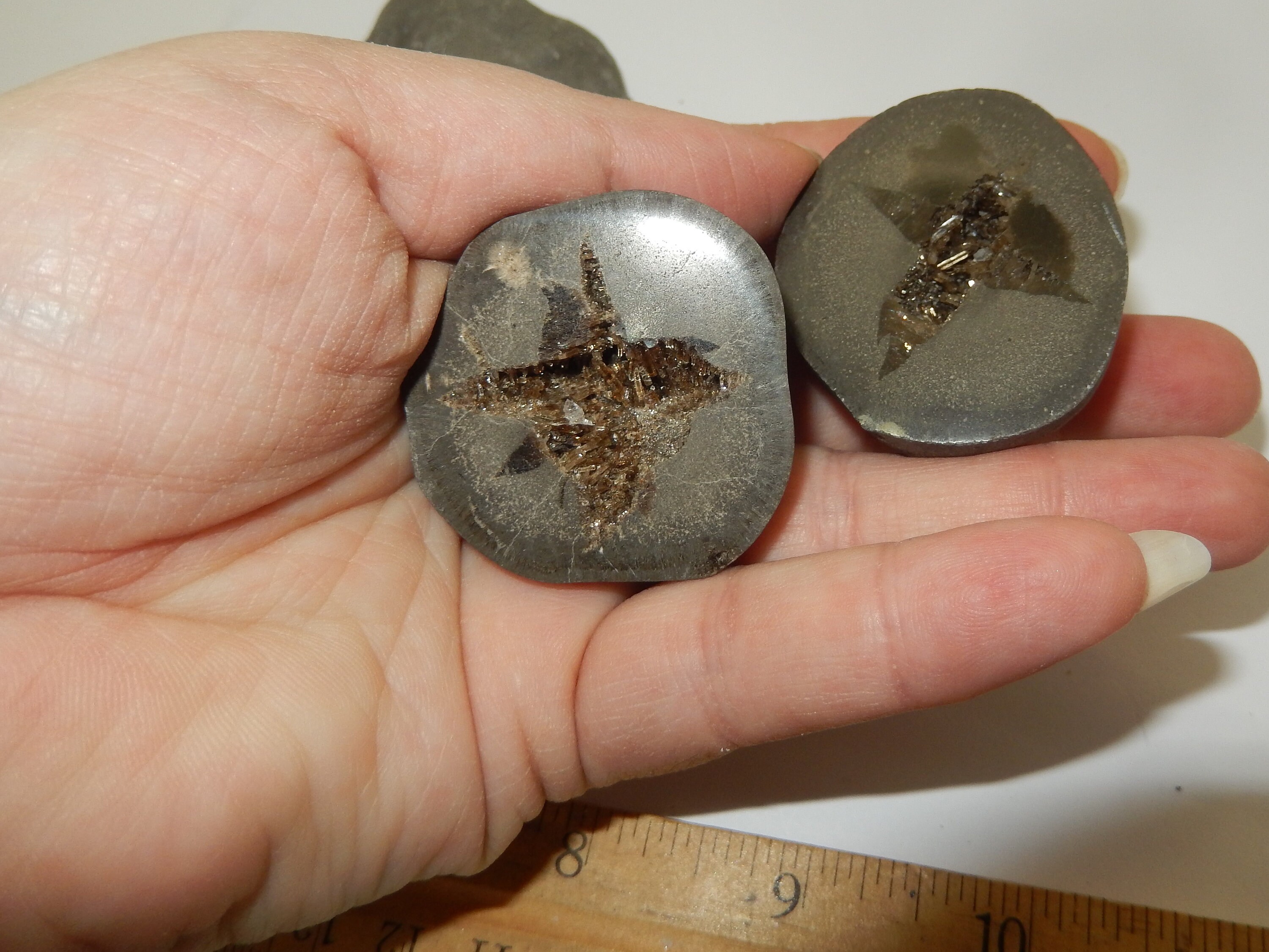 Septarian Barite Nodule Half- France - Etsy