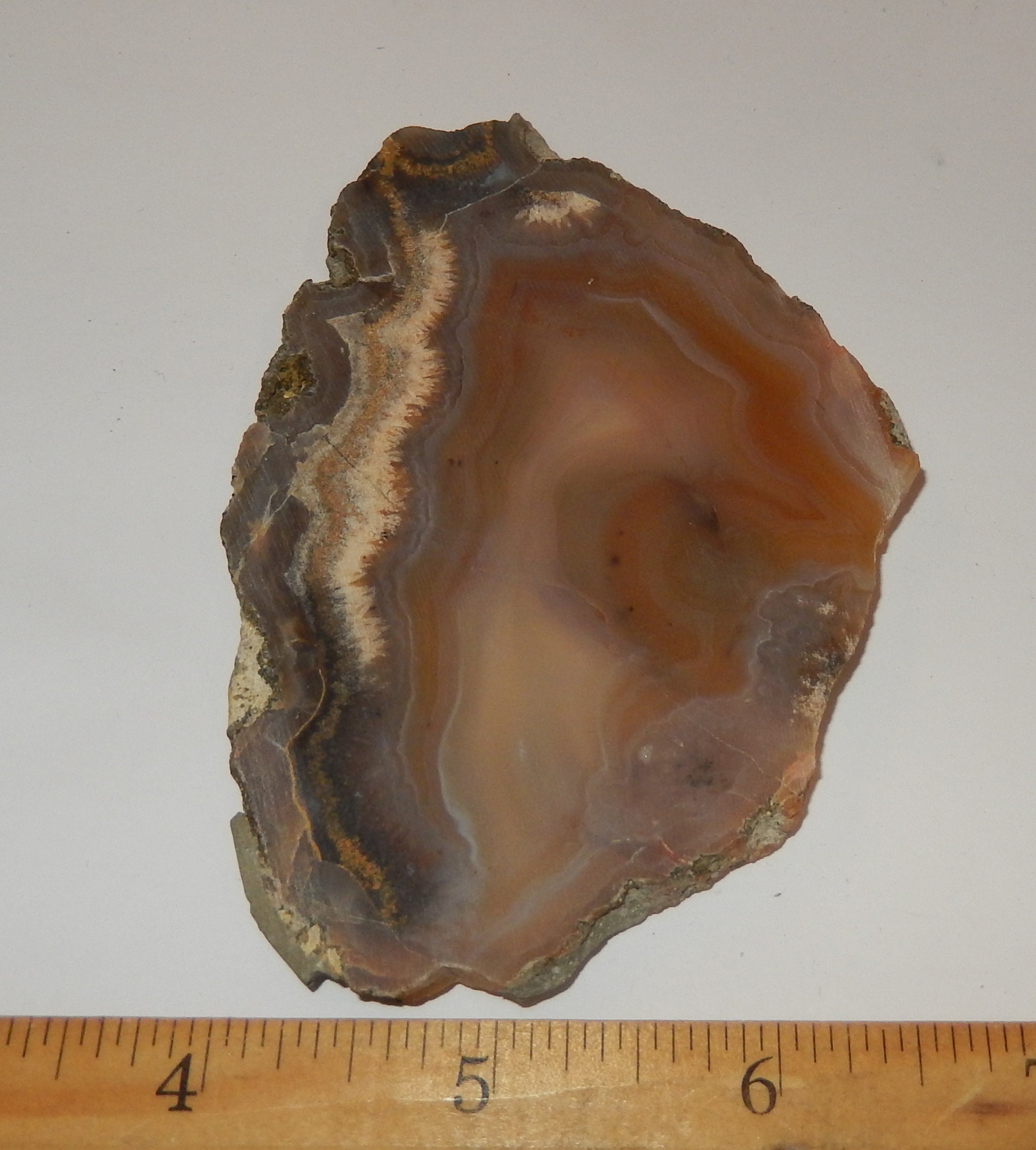 Sagenite Agate Rough Slab | Etsy