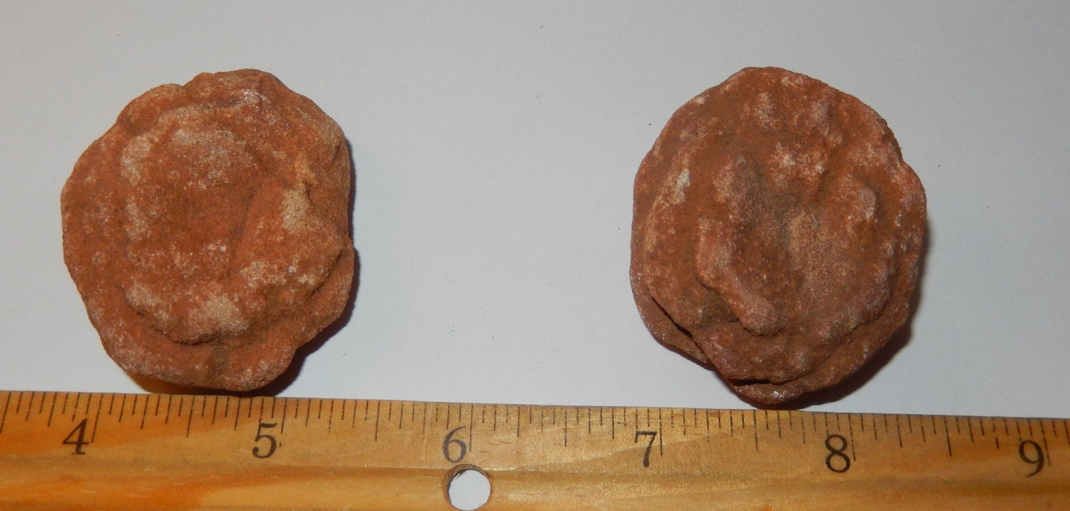 Barite Rose-large - Etsy