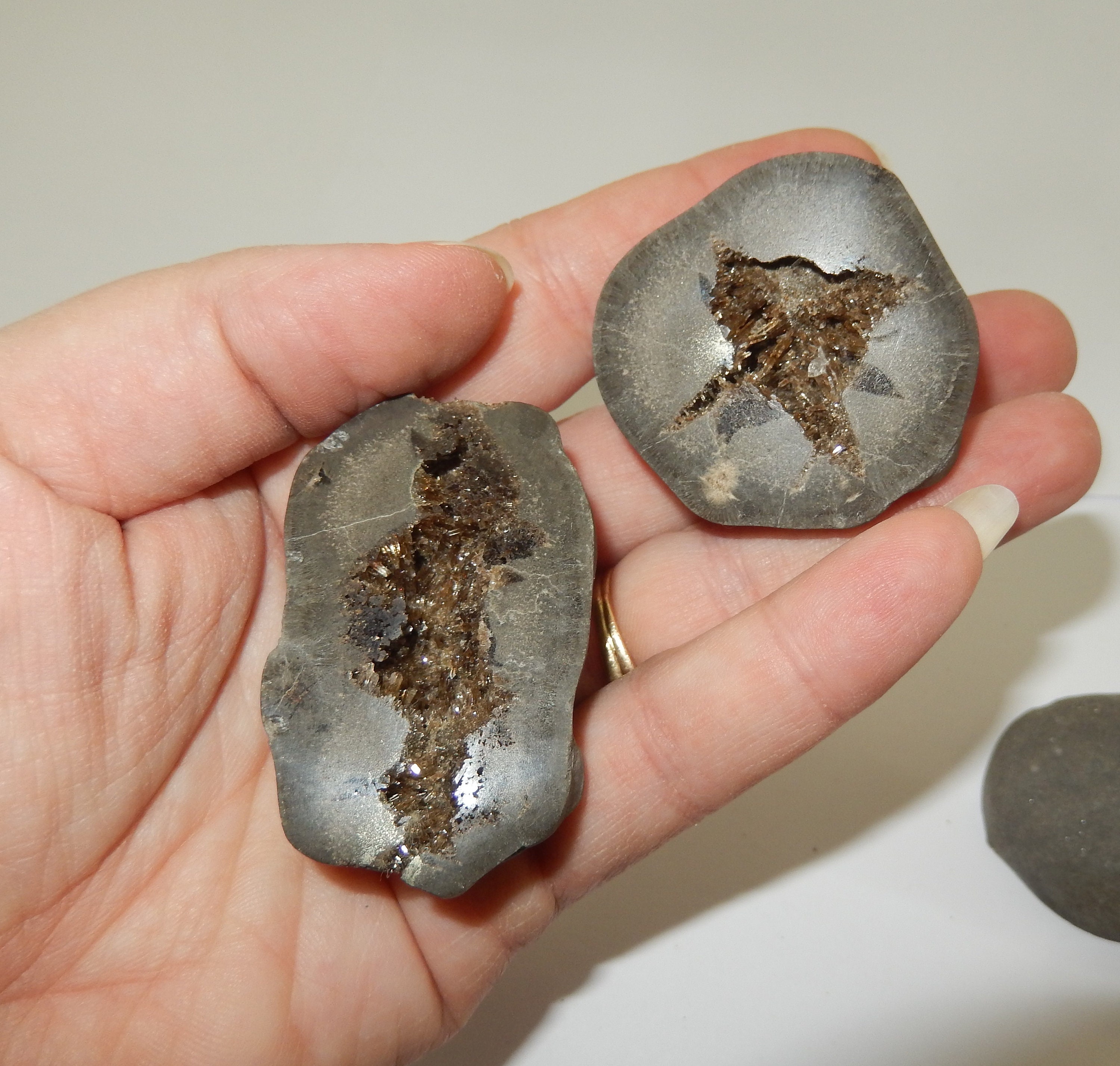 Septarian Barite Nodule Half- France - Etsy