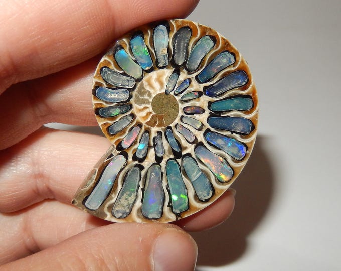 Fossilized Ammonite Inlayed With Ethiopian Opal - Etsy