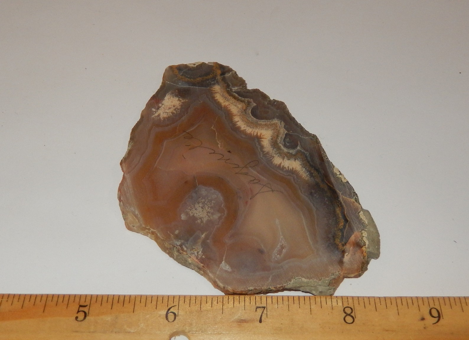 Sagenite Agate Rough Slab - Etsy