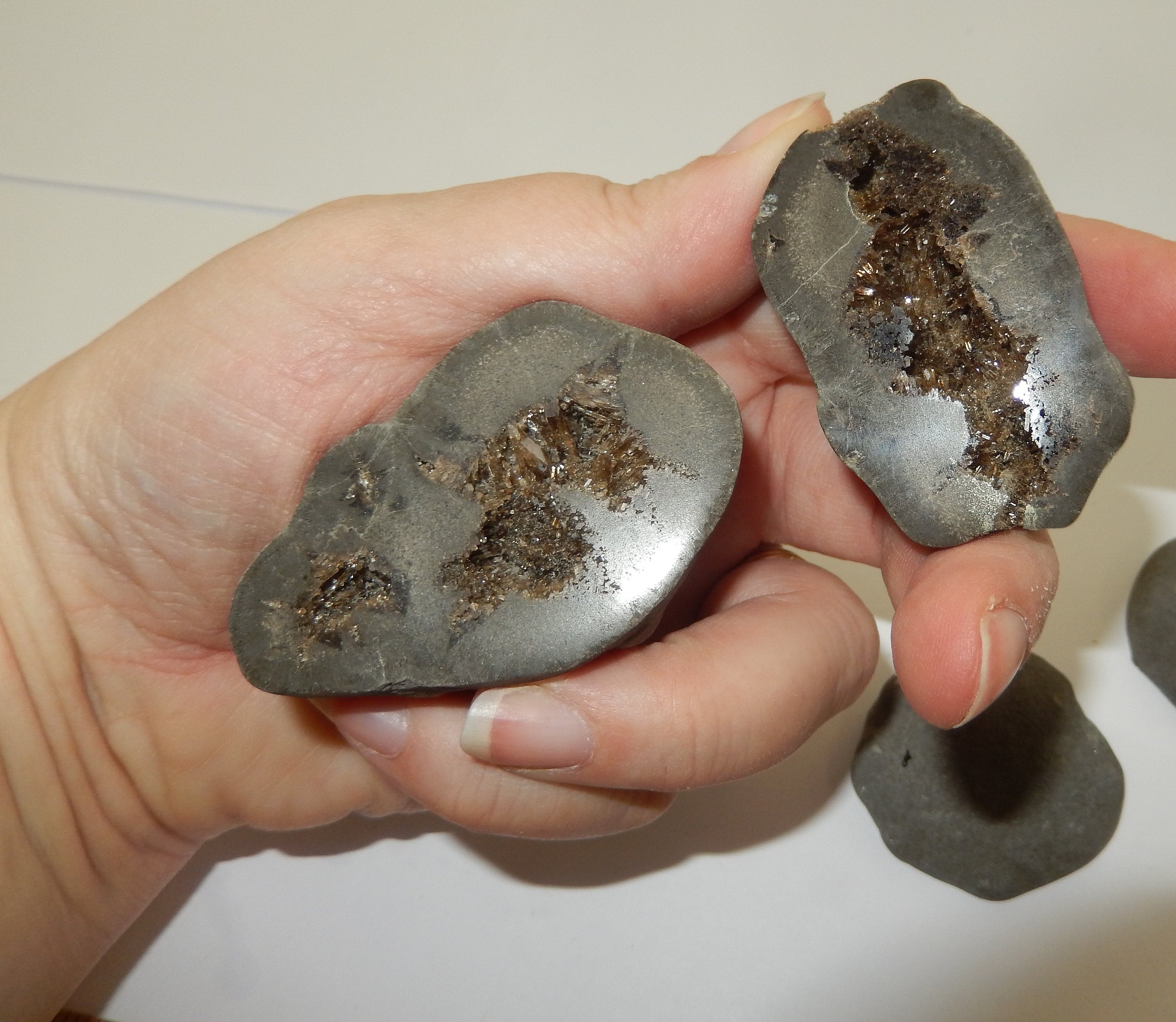 Septarian Barite Nodule Half- France - Etsy