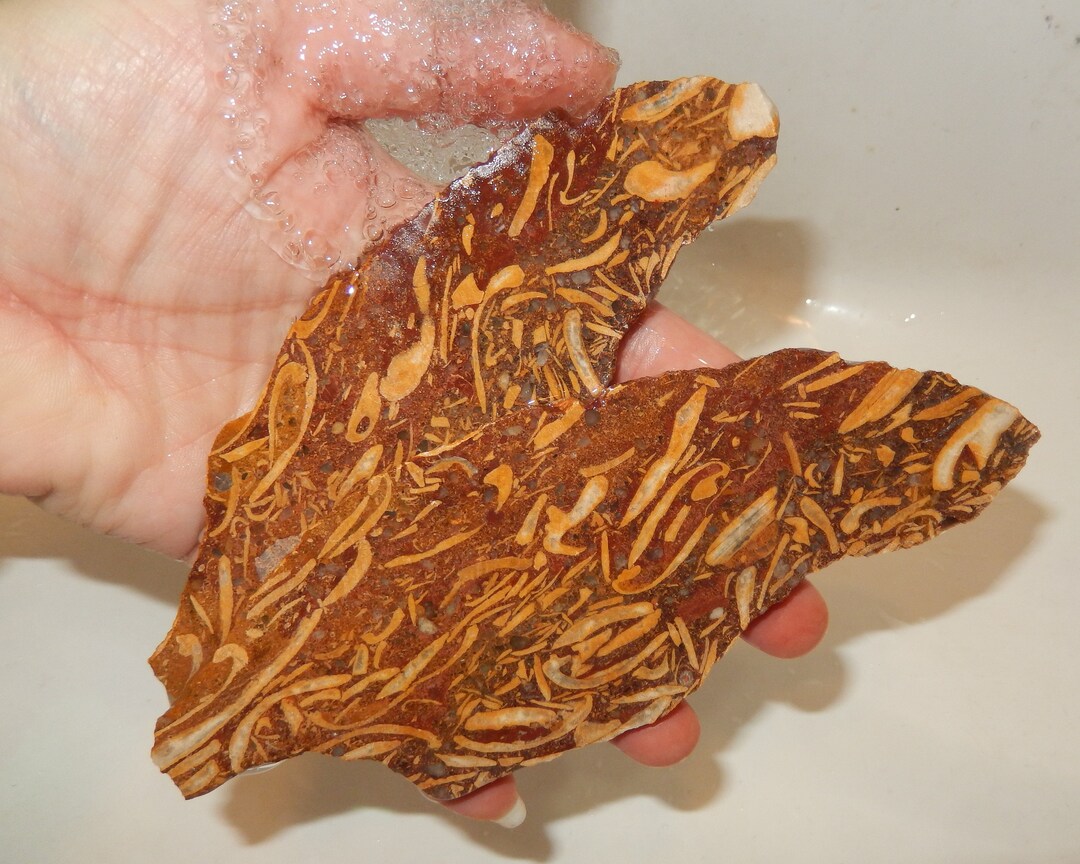 Indian Script Stone Slab- Rough - Etsy