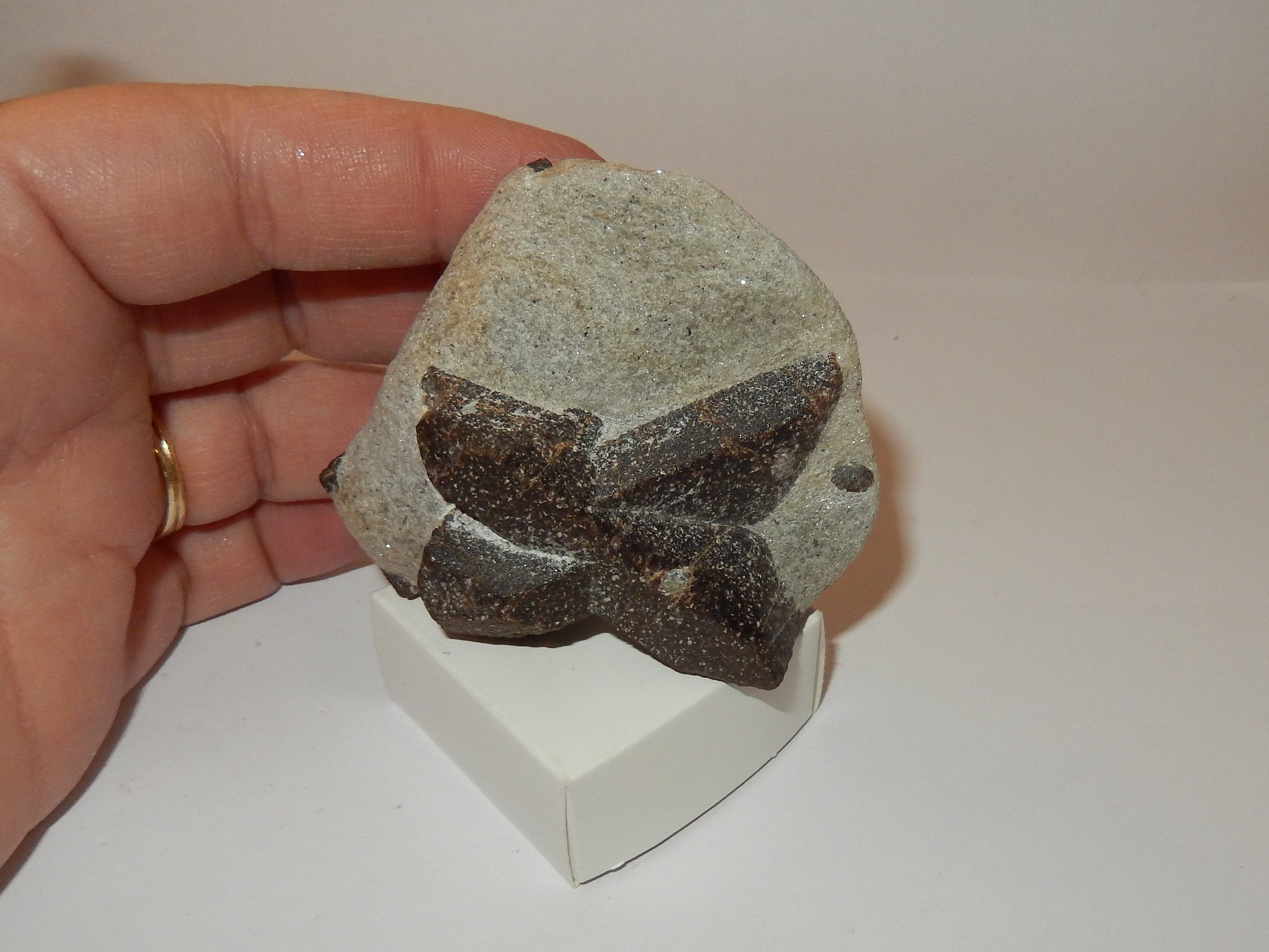 Staurolite fairy Cross Stone Extra Large | Etsy