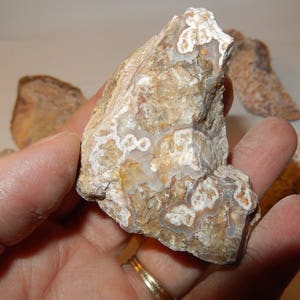 Butterfly Jasper a.k.a. Calico Jasper / with agate raw | Etsy