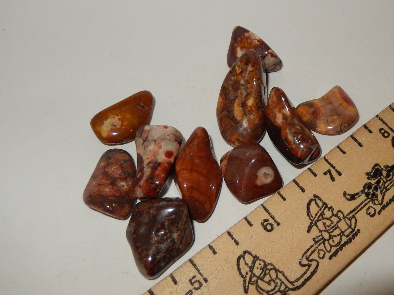 Birds Eye Rhyolite - Etsy