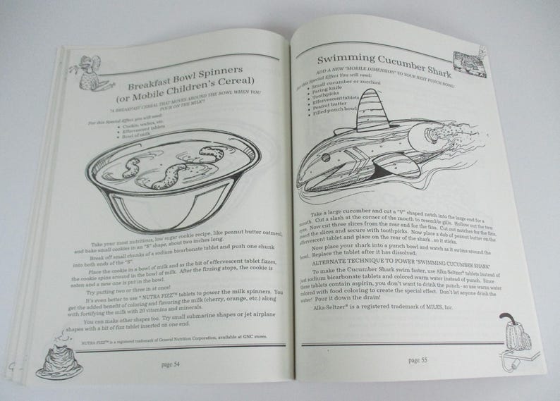 Vintage 1992 Special Effects Cookbook, Kids Recipes, Science Projects ...