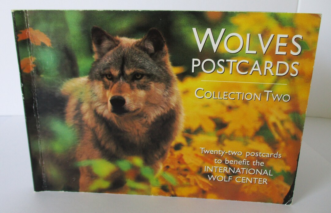 Vintage 1994 Wolves Postcards Collection, Unused, 22 Oversized Postcards, Ready to Mail, Heavy ...