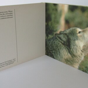 Vintage 1994 Wolves Postcards Collection, Unused, 22 Oversized Postcards, Ready to Mail, Heavy ...