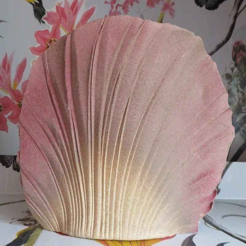 Clam Shell Prop - Etsy