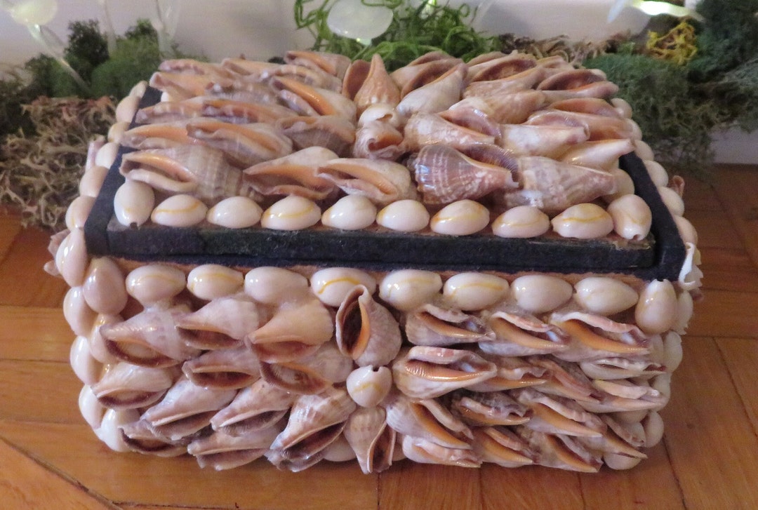 Vintage Seashell Encrusted Trinket Box Vintage Seashell Jewelry Box ...