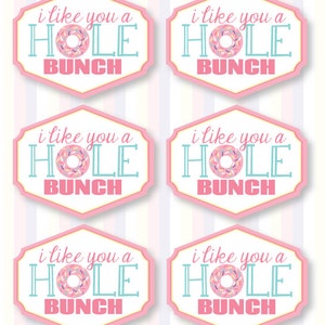 Valentine PRINTABLE Tag 'I Like You A HOLE Bunch' by Love the Day - Etsy