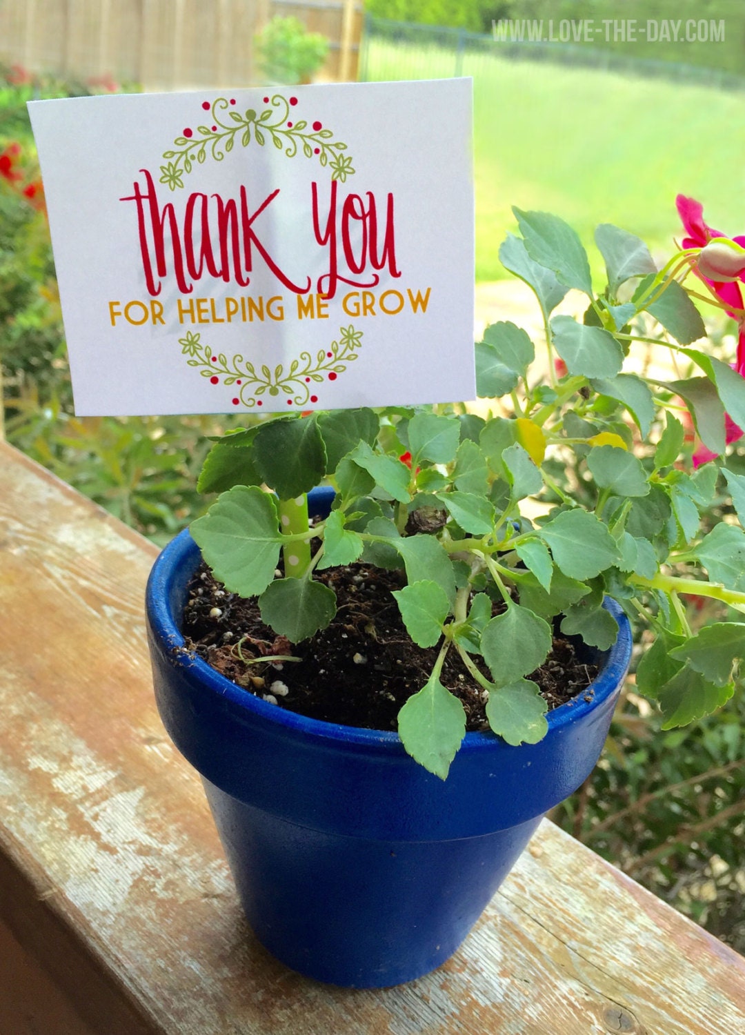 Teacher Appreciation Ideas - Thank You for Helping Me Grow Printable ...