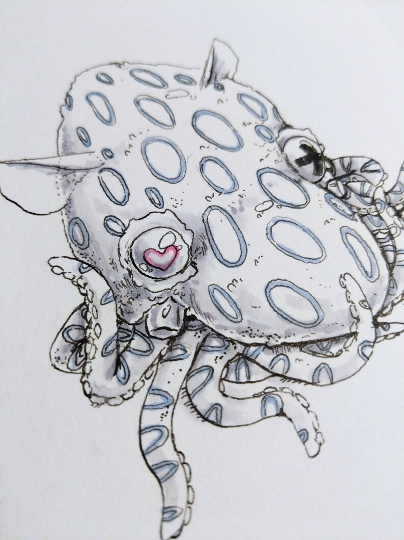Original Ink Piece Signed Ringed Octopus - Etsy