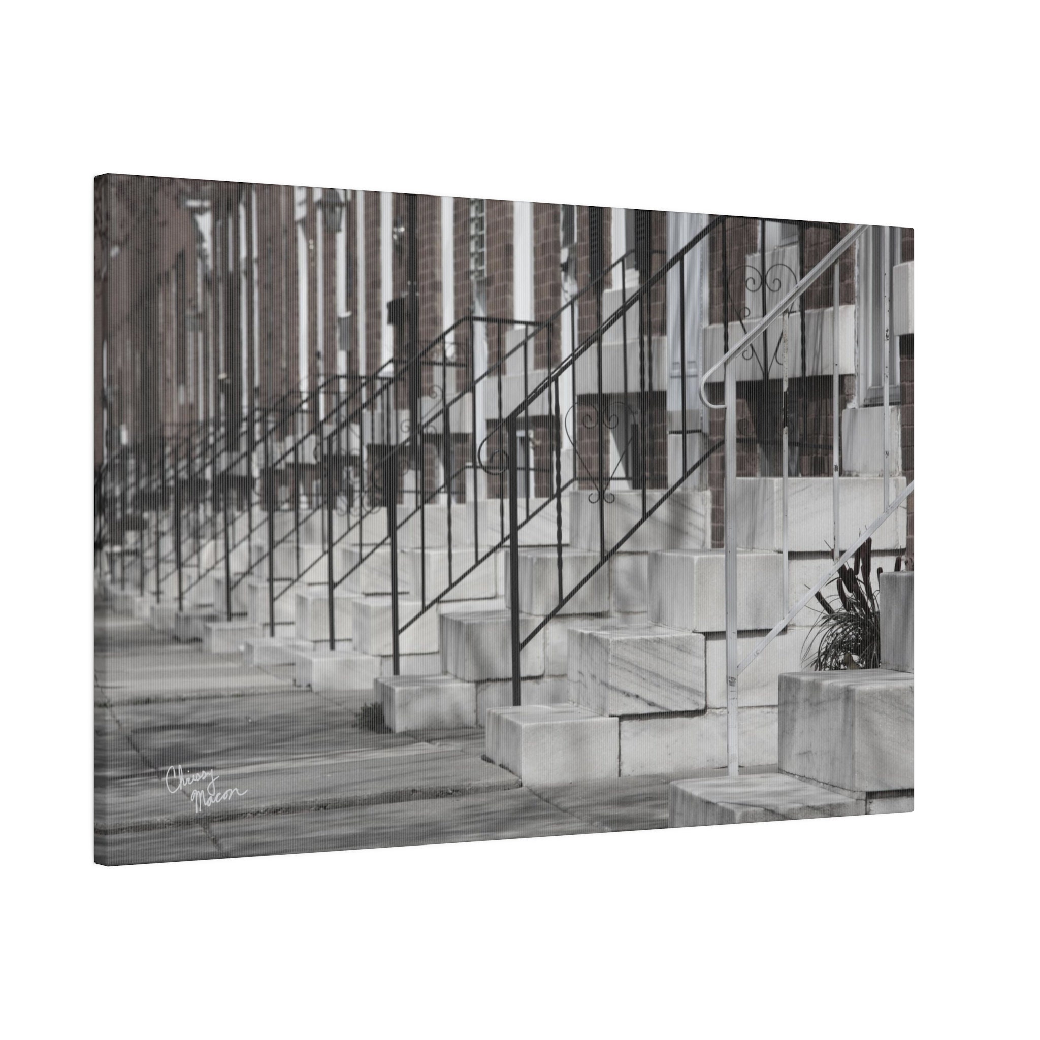Baltimore Stoops Wall Art, Baltimore Front Steps Photo, Canton ...